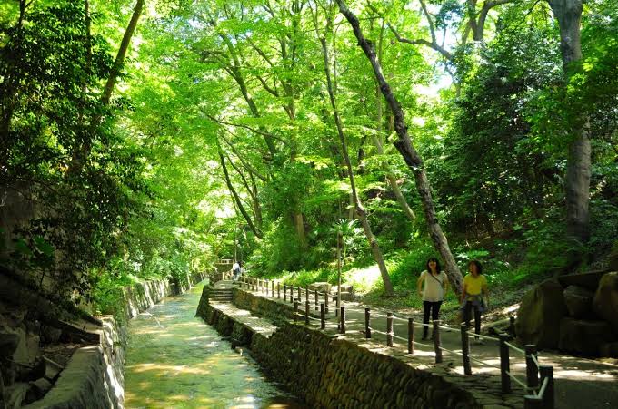 VALLEY IN TOKYO│TOKYO travel TIPS