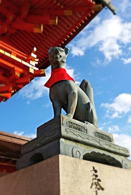 Fox God ?│TOKYO travel TIPS