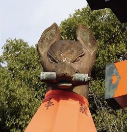Fox God ?│TOKYO travel TIPS
