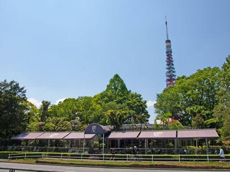 Cafe next to Tokyo Tower│TOKYO travel TIPS