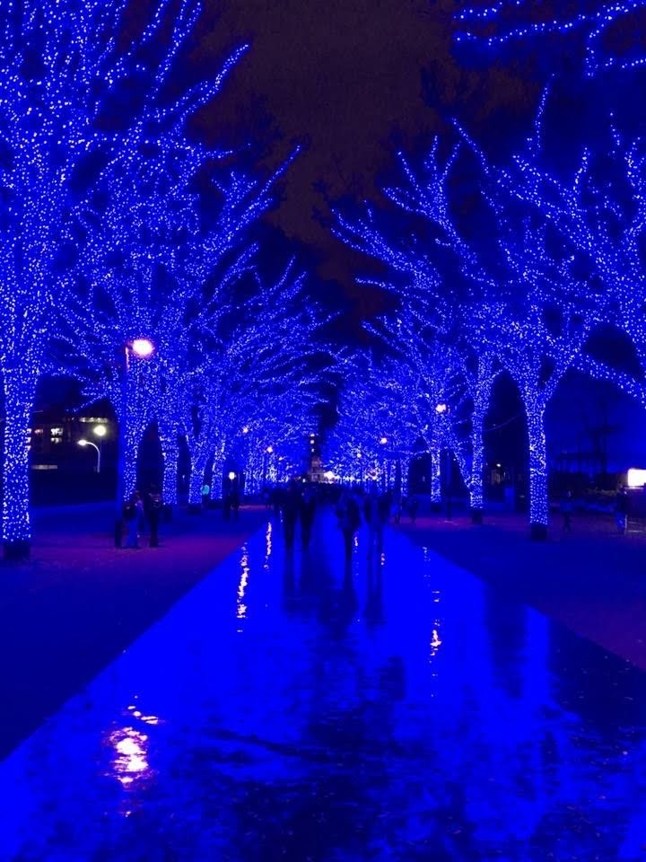 BLUE CAVE in SHIBUYA│TOKYO travel TIPS