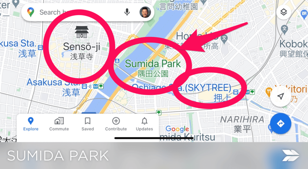 SUMIDA PARK, the Oasis in between SENSOJI ASAKUSA and Tokyo Skytree ...