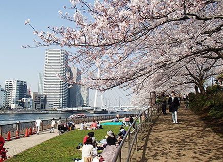 SUMIDAGAWA river terrace│TOKYO travel TIPS