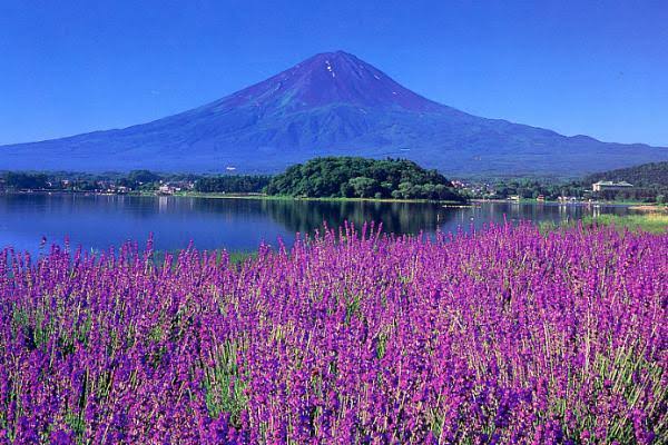 Early spring footages in OOISHI PARK, one of the best view spots of Mt ...