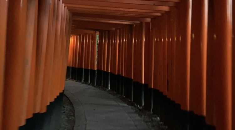 SENBON TORII( 1000 Torii gates) in the evening│TOKYO travel TIPS