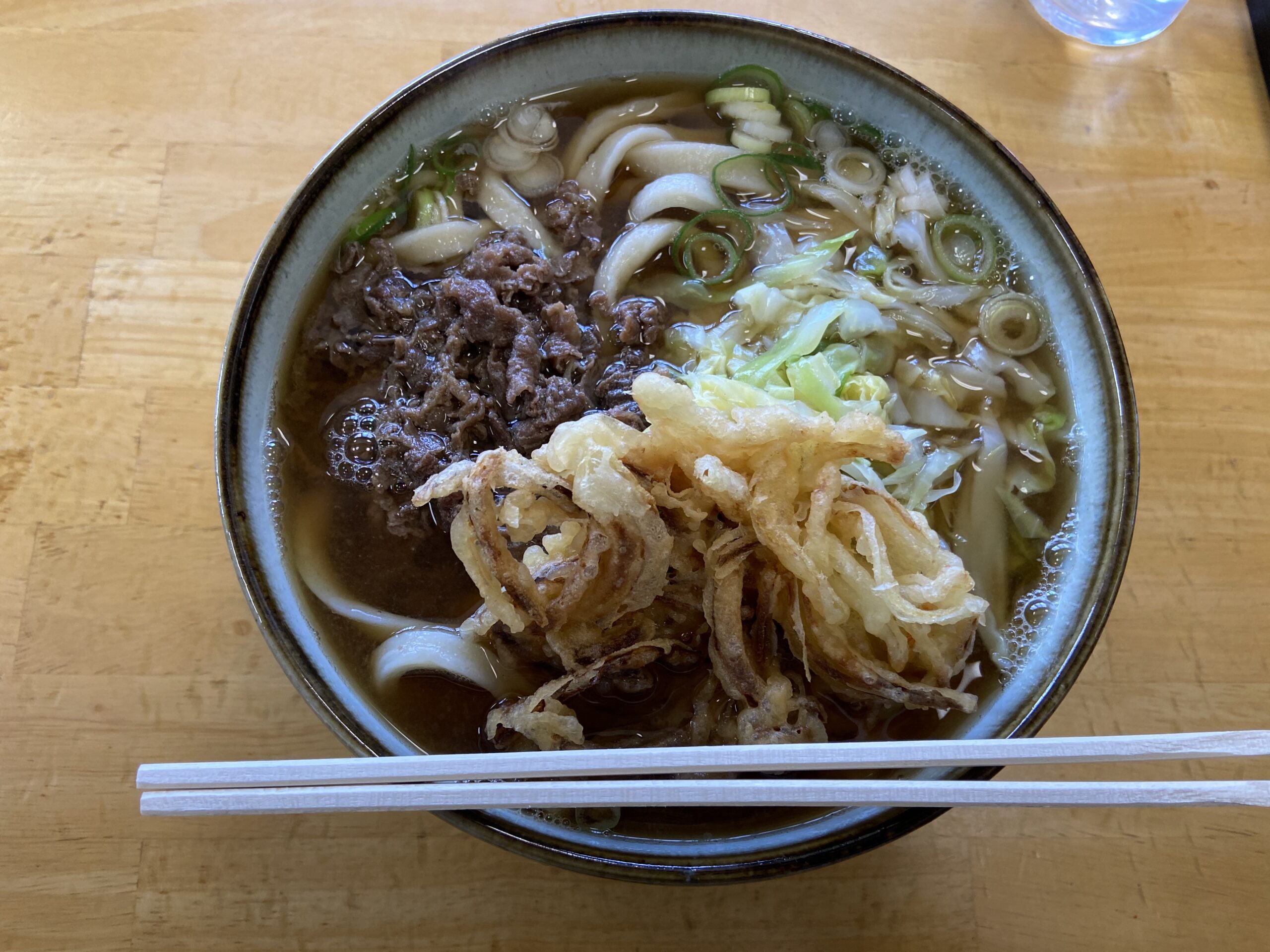 UDON( noodle) of Mt.Fuji│TOKYO travel TIPS