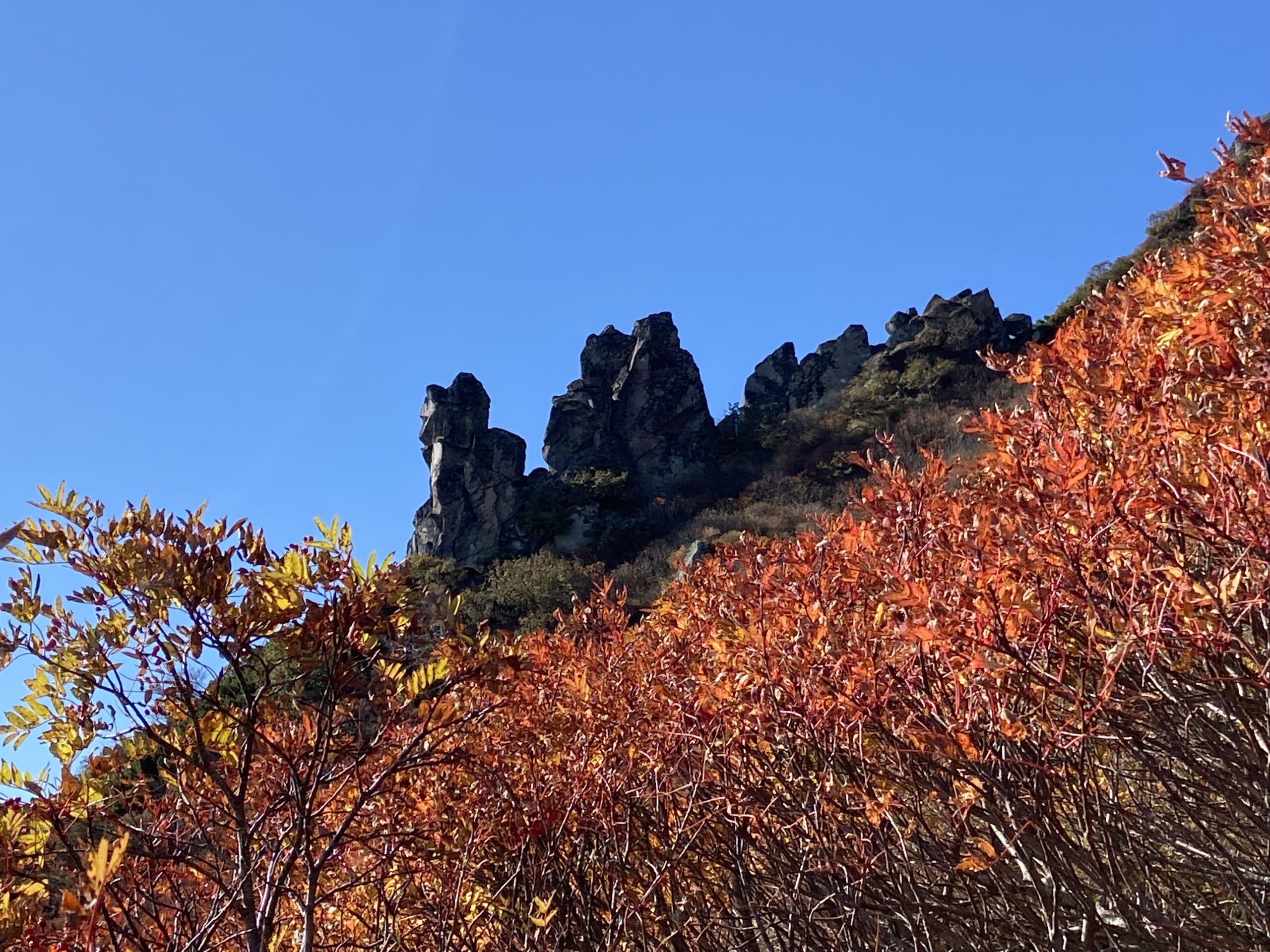 HOW TO ENJOY THE EARLY AUTUMN OF JAPAN IN SEPTEMBER-3│TOKYO travel TIPS