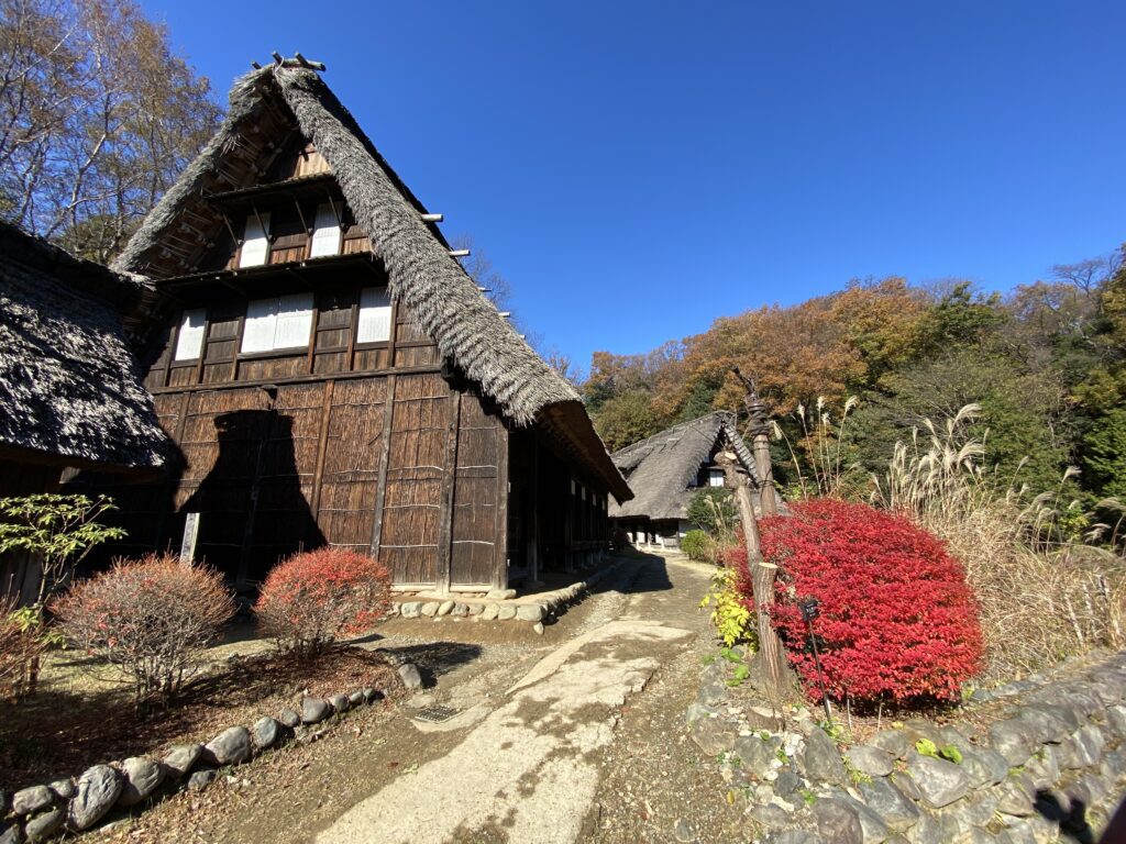 Autumn footage in Tokyo, at Nihon Minkaen Japanese folklore buildings ...