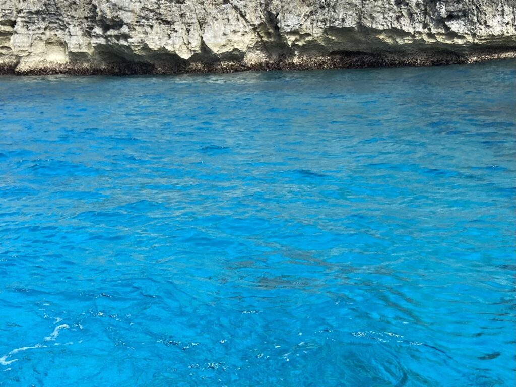 Why don’t you try sustainable tourism in Minamijima island of Ogasawara ...