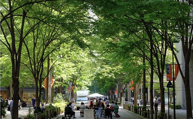 Why don’t you go to see the illumination, Marunouchi Nakadori avenue in ...