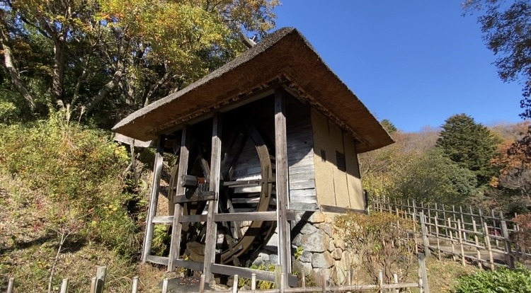 Autumn footage in Tokyo, at Nihon Minkaen Japanese folklore buildings ...
