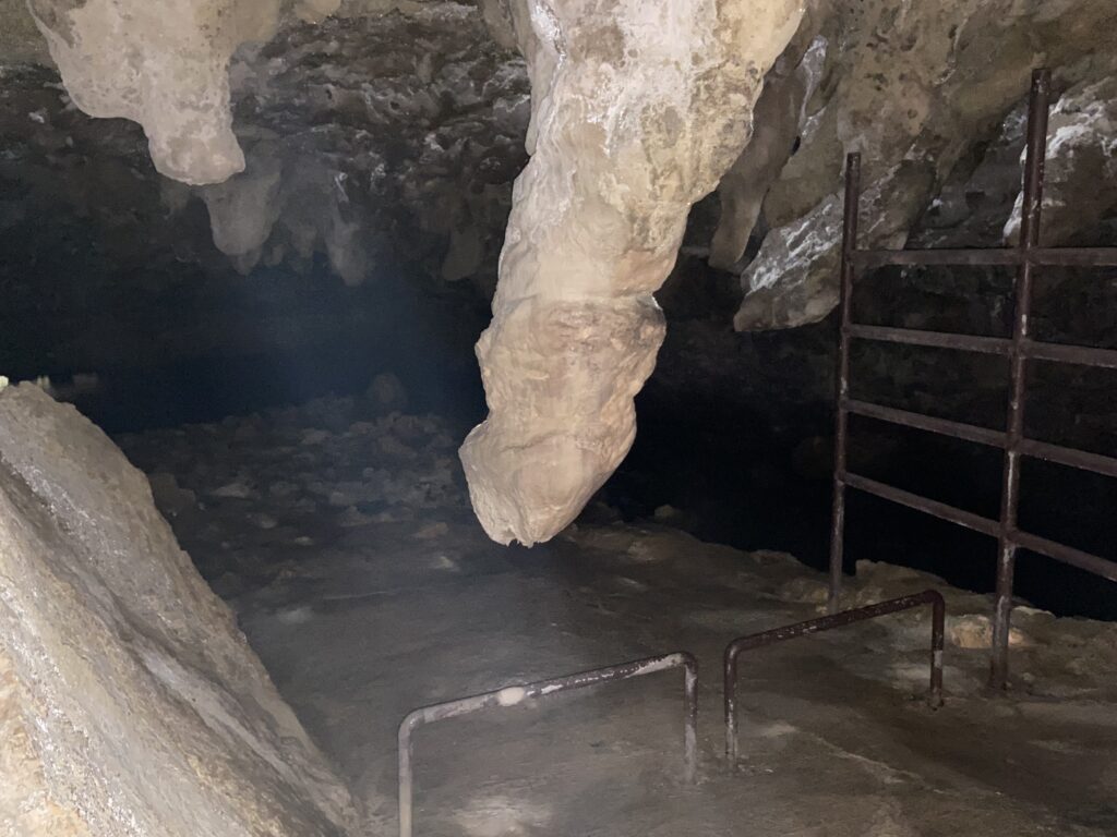 Guided tour ,several million years old valley of Gangala in Okinawa ...