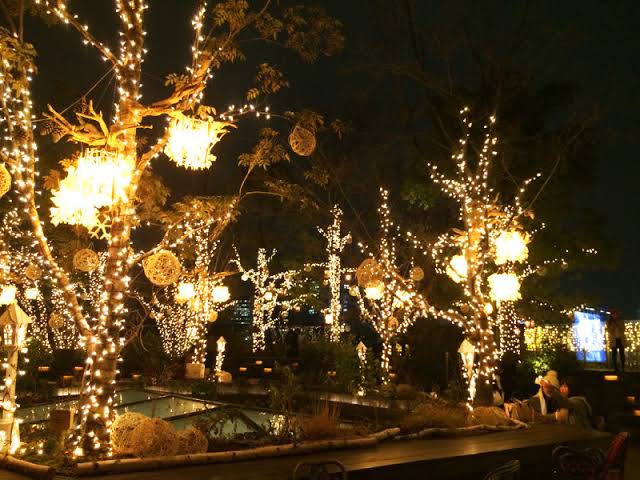 If you go to Omotesando, you can enjoy 3 illuminations!│TOKYO travel TIPS