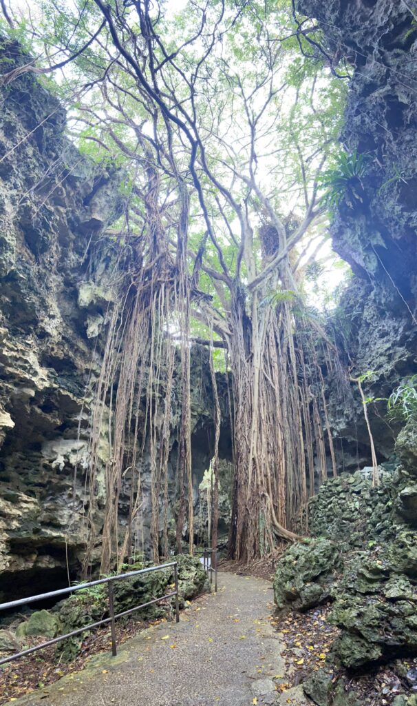 Guided tour ,several million years old valley of Gangala in Okinawa ...