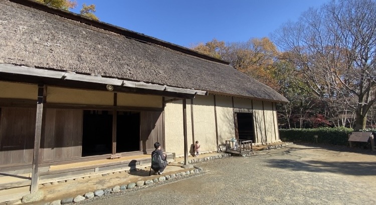 Autumn footage in Tokyo, at Nihon Minkaen Japanese folklore buildings ...
