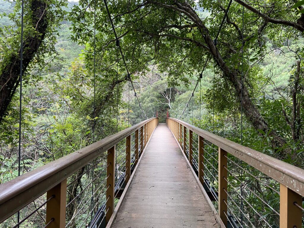 Why don’t you trek in Okinawa, Hiji waterfall?│TOKYO travel TIPS