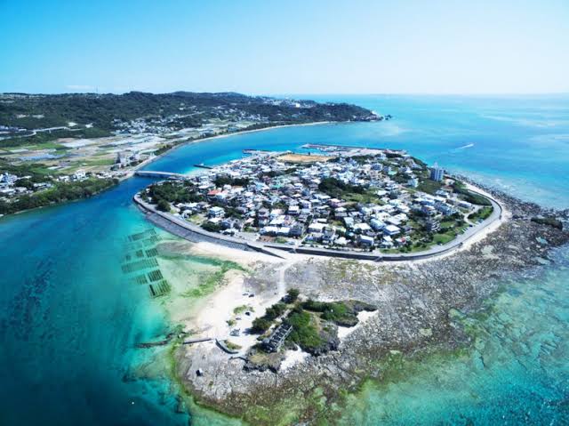 Cat paradise Japan, Ojima island in Okinawa│TOKYO travel TIPS
