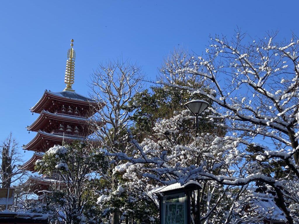 Instagrammable scenery, Sensoji Temple in the snow│TOKYO travel TIPS