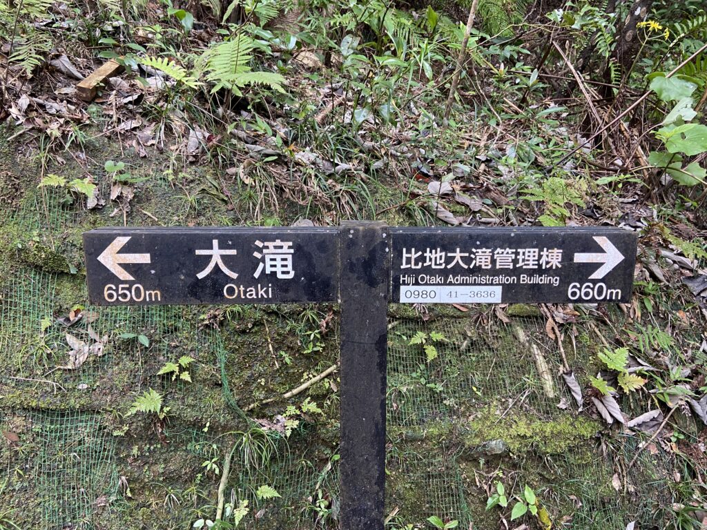 Why don’t you trek in Okinawa, Hiji waterfall?│TOKYO travel TIPS