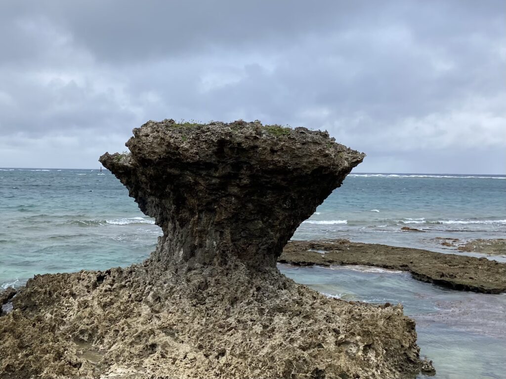 Cat paradise Japan, Ojima island in Okinawa│TOKYO travel TIPS