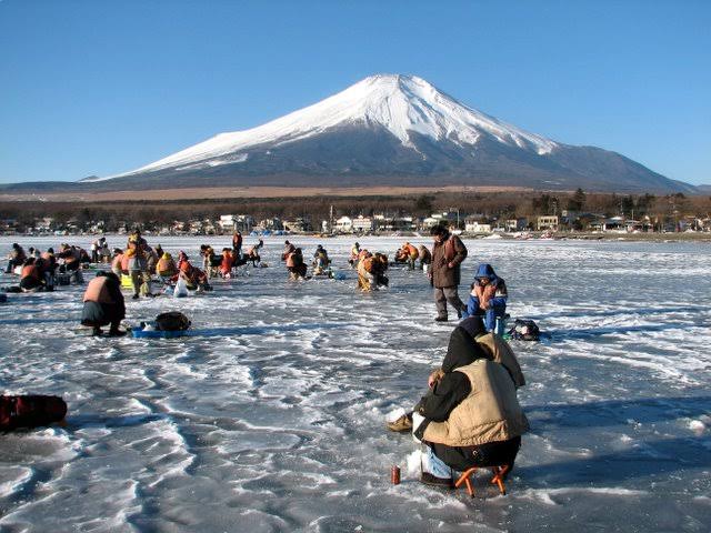 Shiba Inu Tokyo , Shiba Inu in the snow!│TOKYO travel TIPS