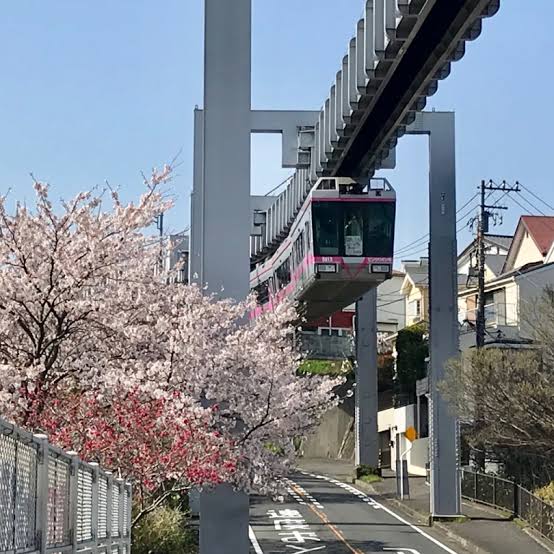 Shonan monorail, the roller coaster from the town to the beach!│TOKYO ...