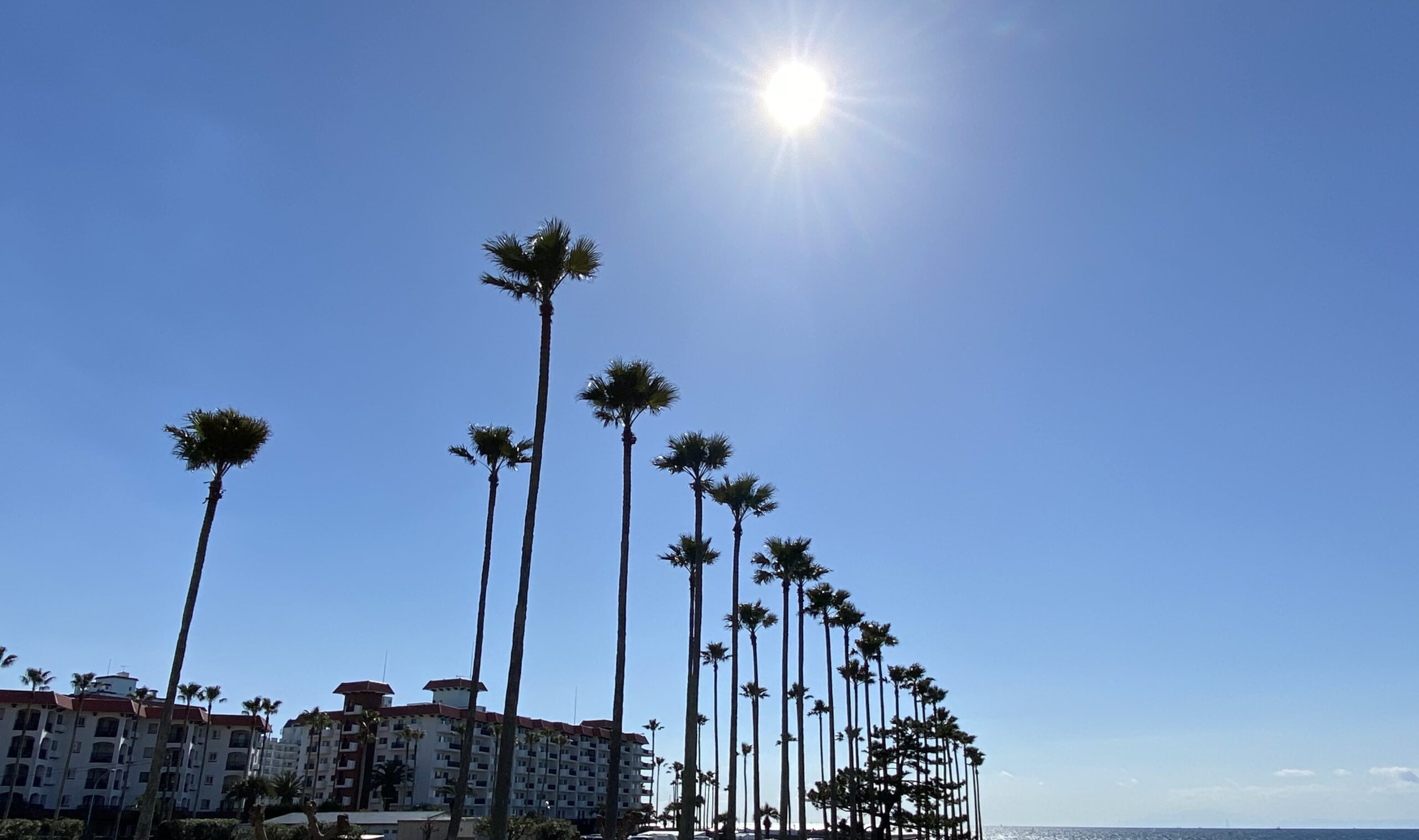 Why don’t you go to see this view at Zushi marina resort next to ...