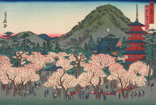 What is Hanami, cherry blossom viewing in Japan?│TOKYO travel TIPS
