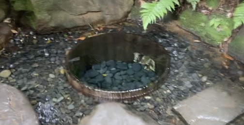 Meiji shrine garden, the hidden flowers spot you shouldn't miss in June ...