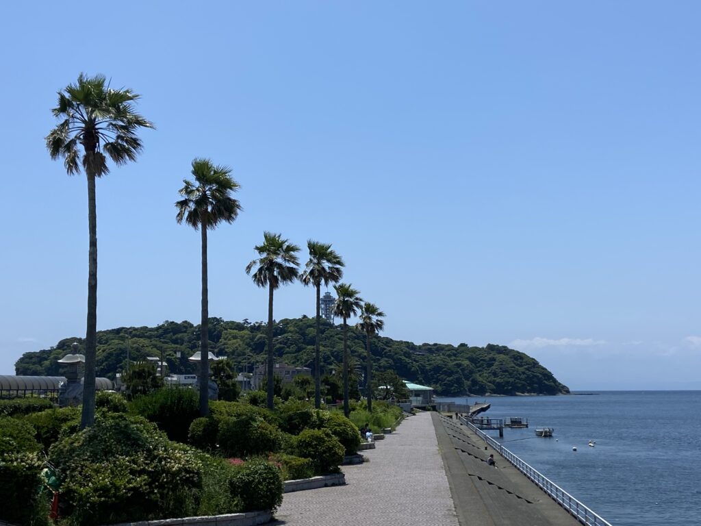 Enoshima island and roses