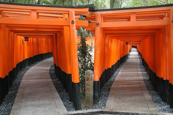 Let’s enjoy mesmerizing 10,000 Torii gates, Fushimi Inari Grand Shrine ...