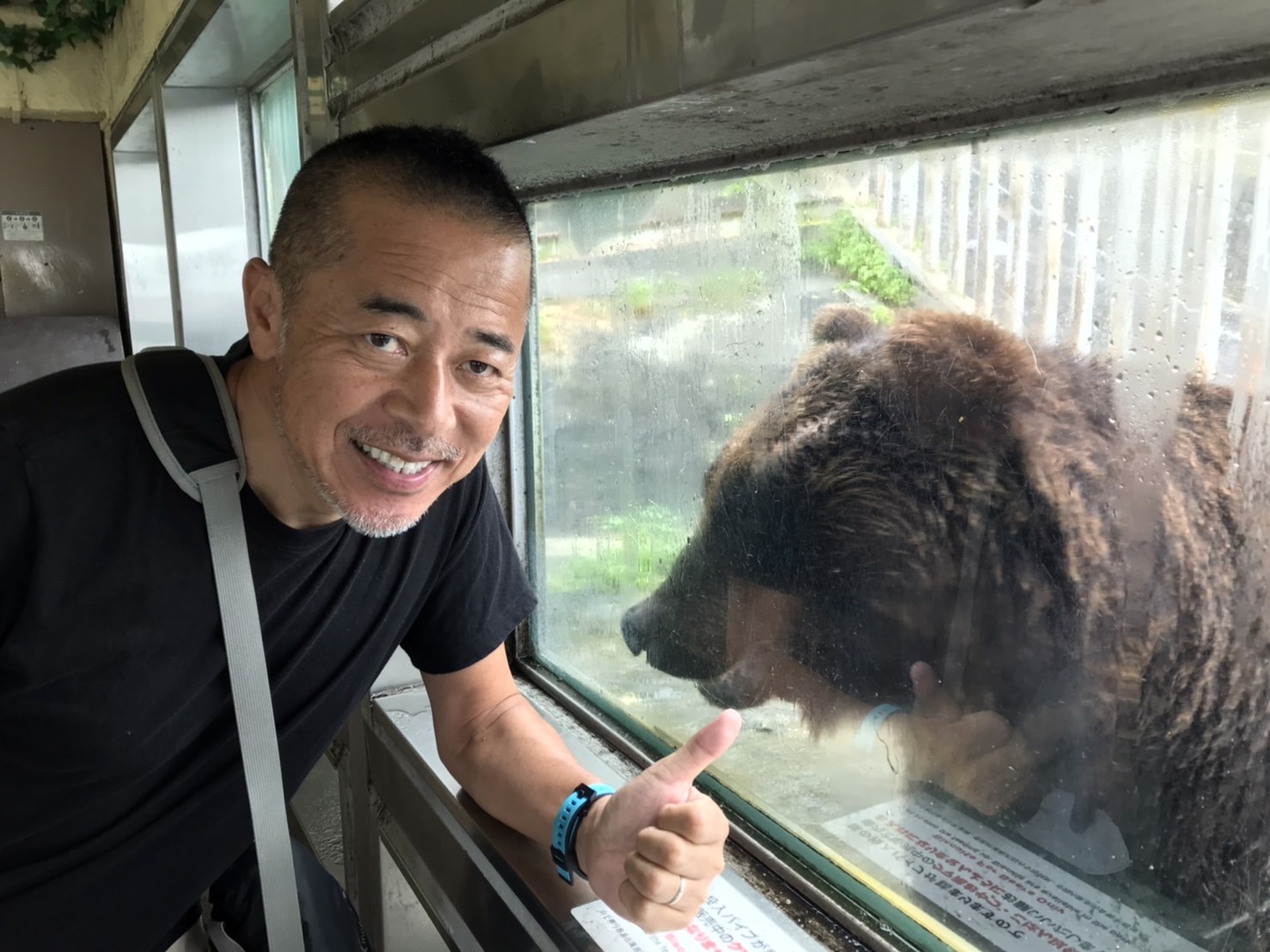 I went to a bear park in Noboribetsu onsen Hokkaido!!