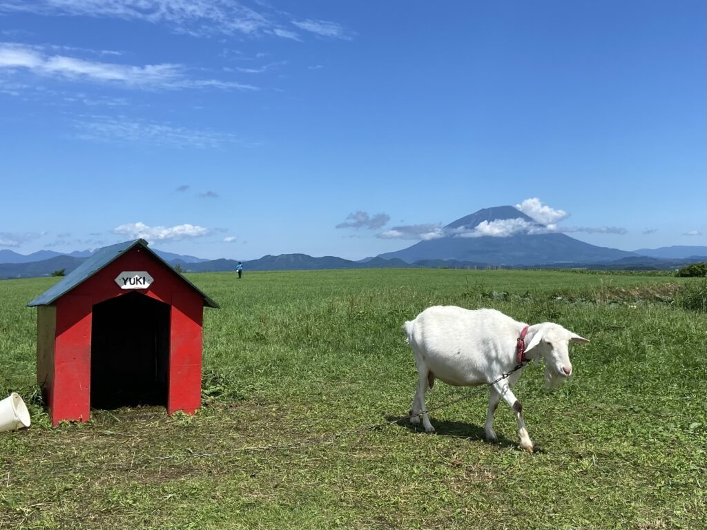 Delicious gelato and beautiful Mt. Yotei, Lake Hill Farm in Lake Toya