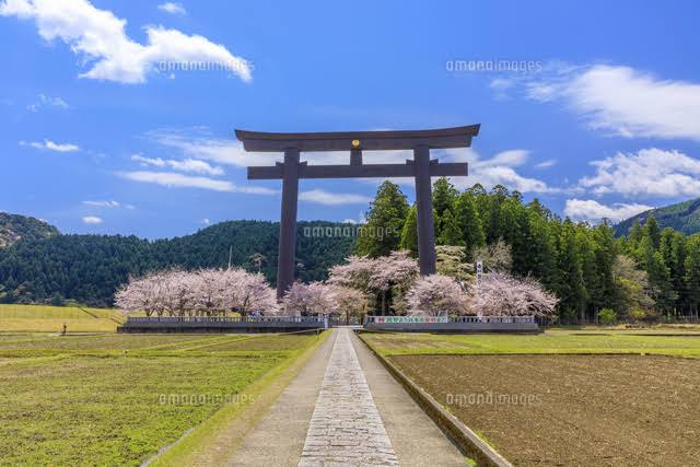Huge Red Torii gate of 24.2m at Heian Jingu shrine!