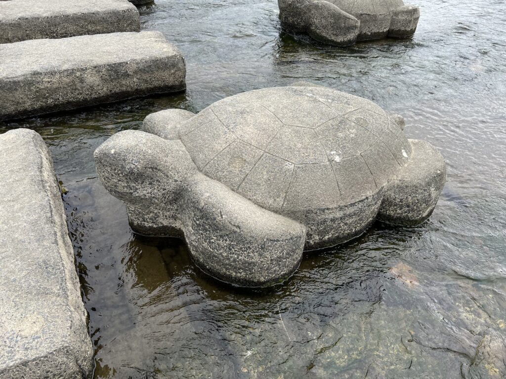 Best picnic spot in Kyoto!