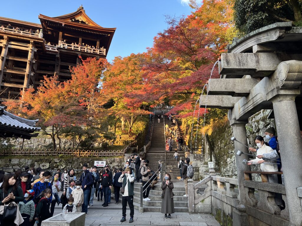 Kyoto Autumn leaves fully enjoy 2-Day tour -day1