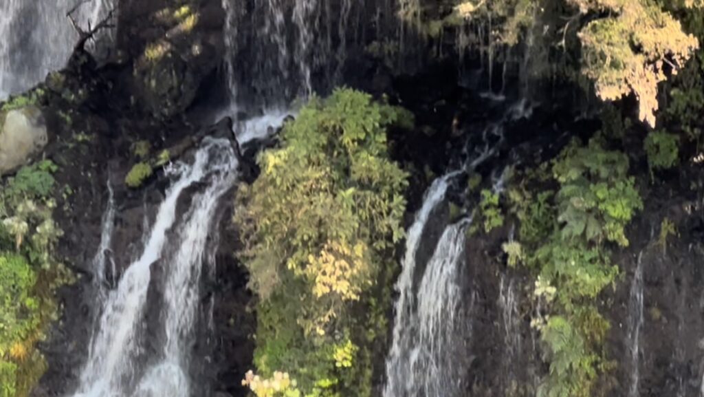 Roar of Mt.Fuji ,Rainbow, shiraito waterfall!