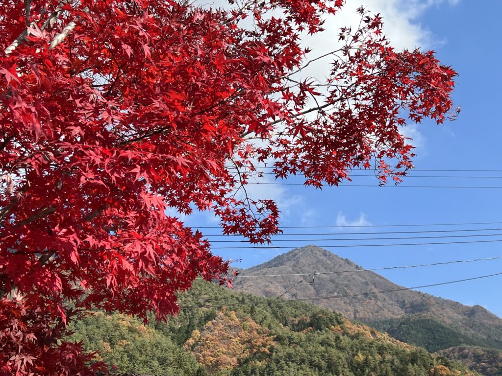 Autumn footage at Saiko Nemba no Sato( thatched house museum)