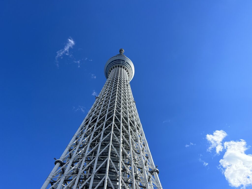 Asakusa Hagoita Market, Sensoji Temple, Sumida River Walk, and Tokyo ...