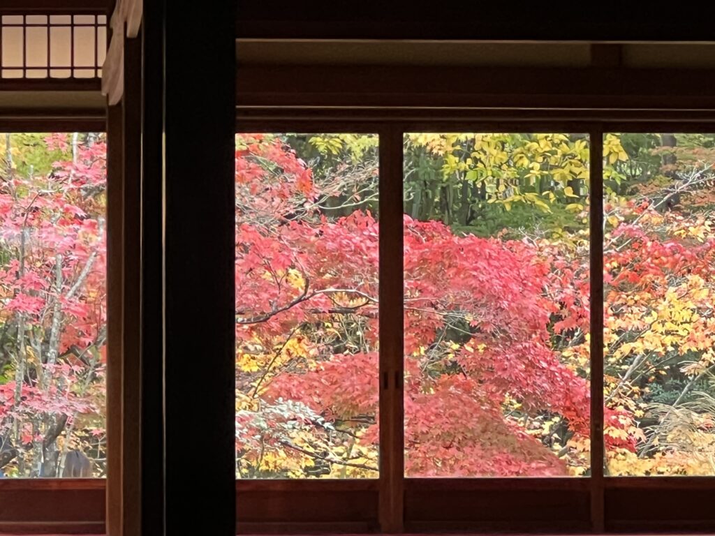 Hidden jem Tenju-an in Kyoto!