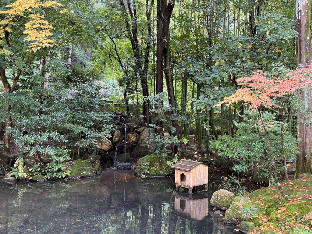 Hidden jem Tenju-an in Kyoto!