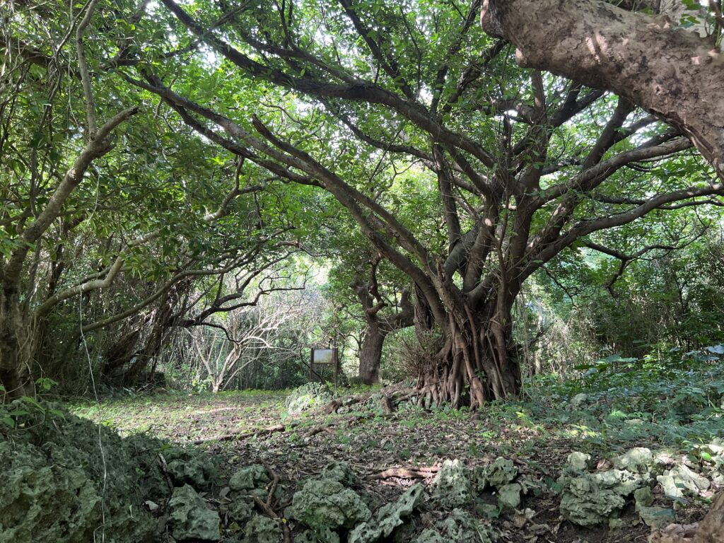 Sacred place in Okinawa,Oujima Island!