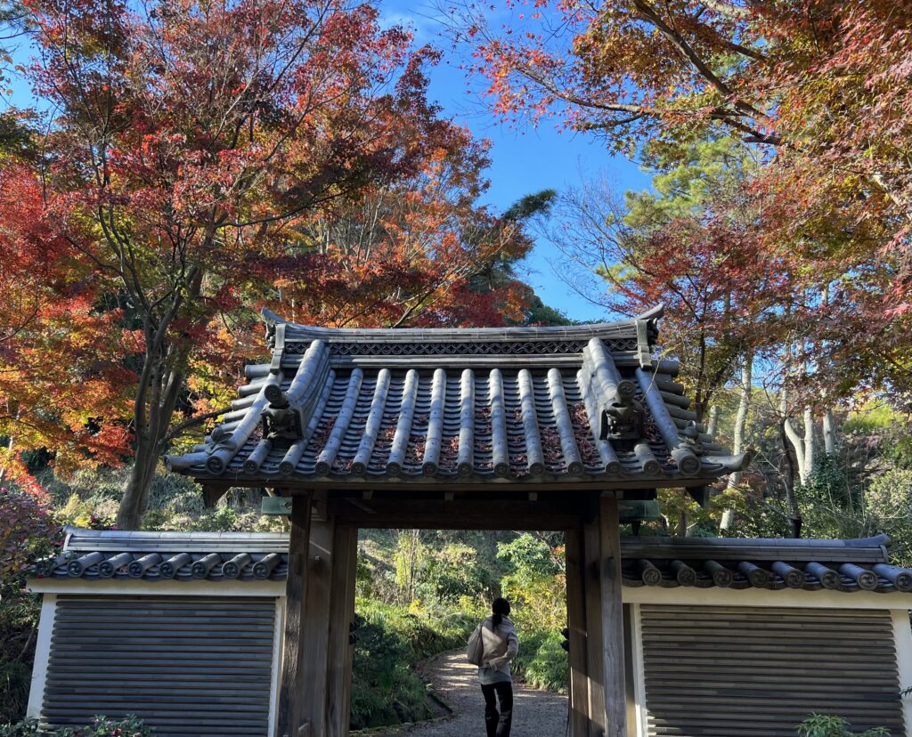 The biggest Japanese garden park next to Tokyo,Sankeien in Yokohama!