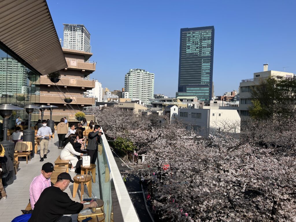 Cherry blossoms and Starbucks Reserve Roastery Tokyo