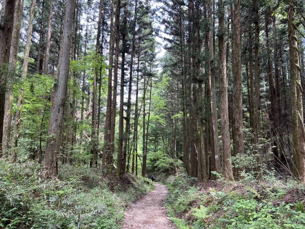 Walking along Nakasendo trail of medieval Japan! Hiking from Magome to ...