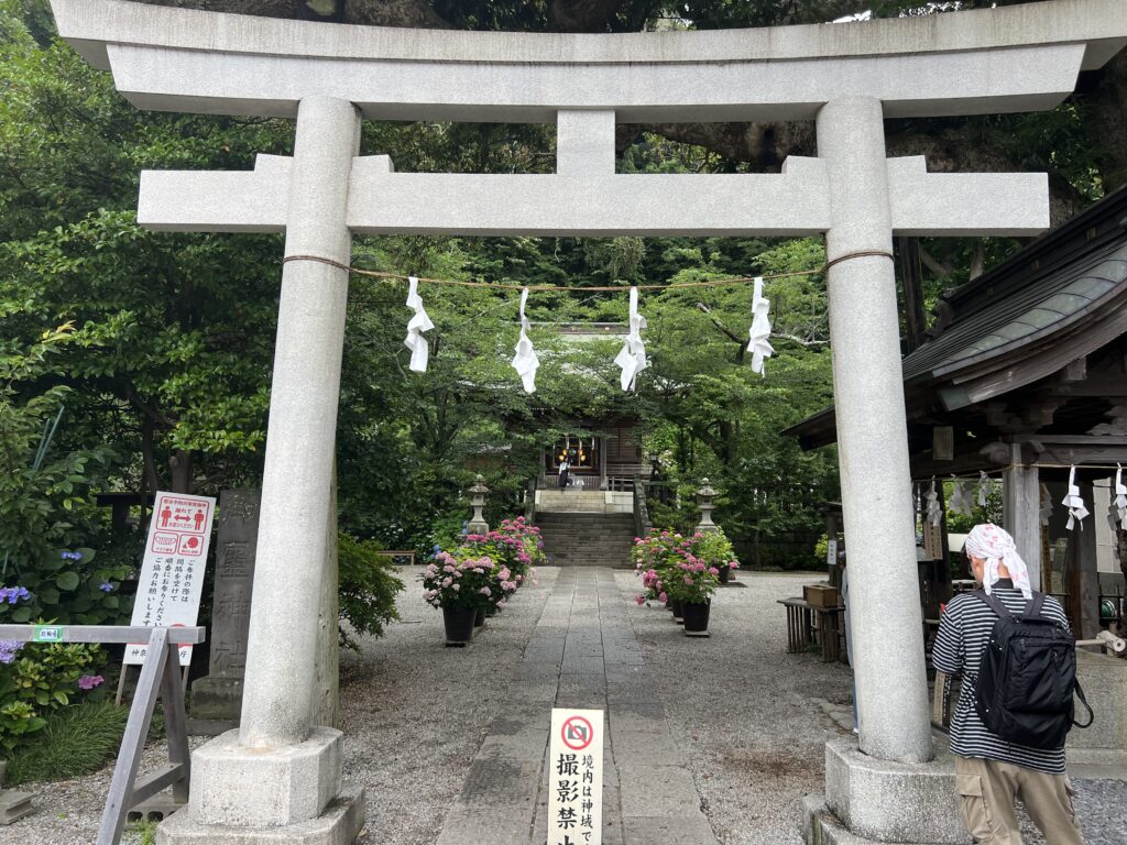 How to enjoy the rainy season , Enoden train, Goryo shrine and hydrangeas!!