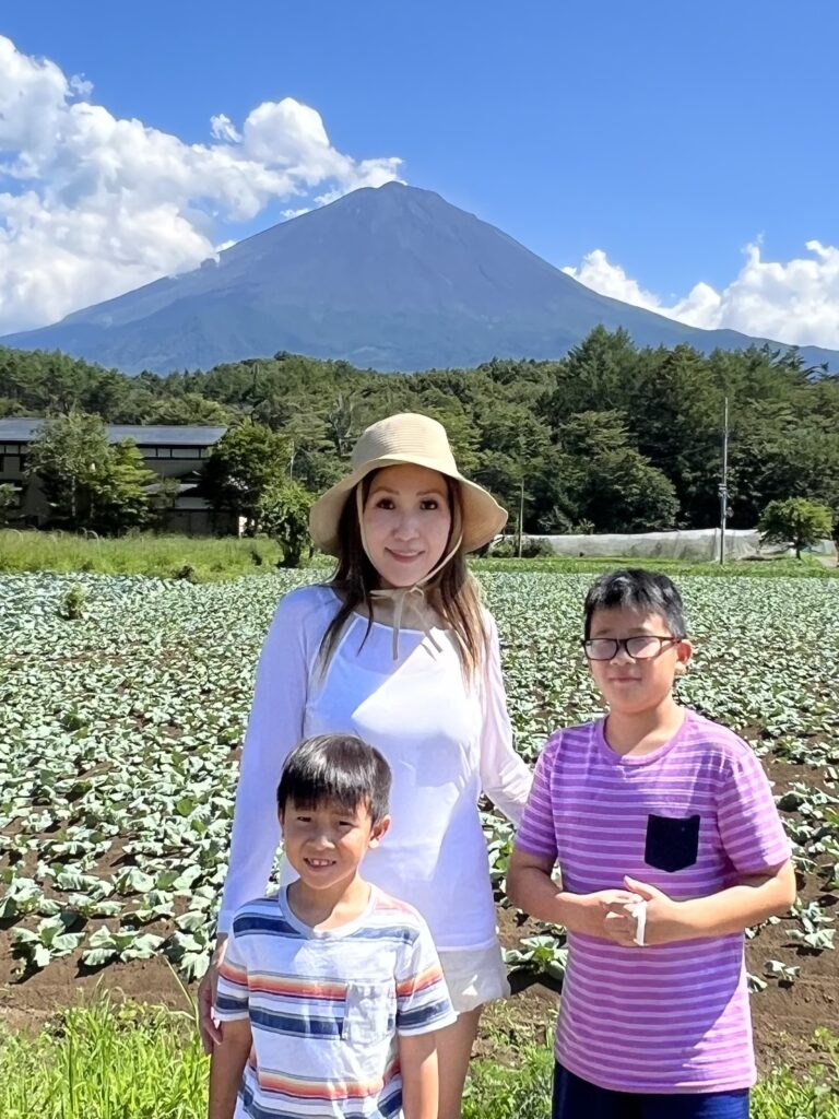 Mt.Fuji, 5storied pagoda, Lake Kawaguchiko,Shiraito waterfall, ice cave ...