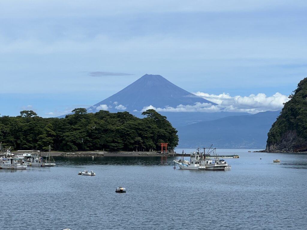 5 best places to see beautiful Mt.Fuji in IZU peninsula!!
