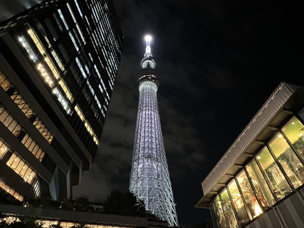 Tokyo 1 Day Tour, Shibuya Crossing, Meiji Shrine, lunch, Takeshita ...