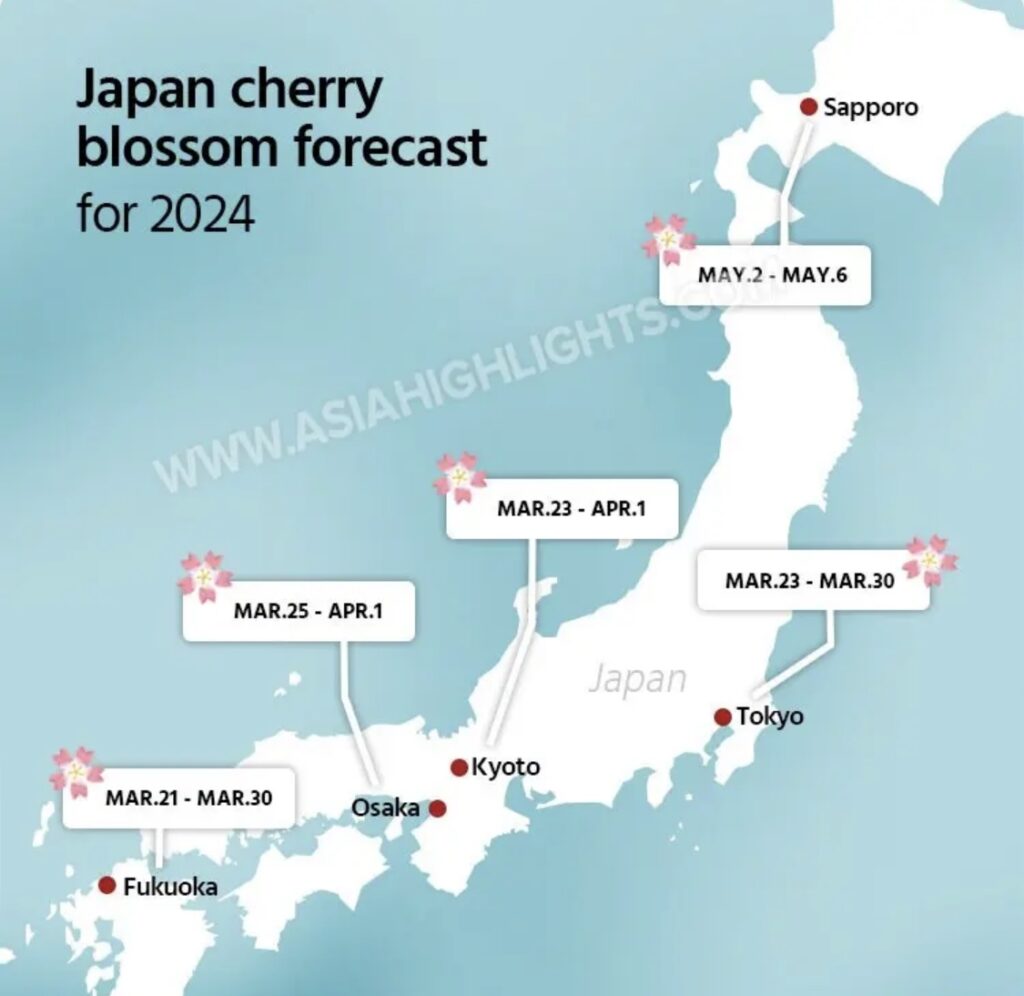 March information 2024!│TOKYO travel TIPS